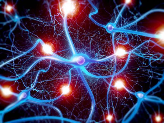 Pyramidal and extrapyramidal systems: lesion syndromes, topical ...
